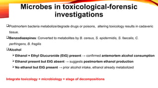 Forensic Microbiology and post mortem Microbiology | PPTX