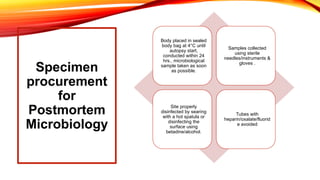 Forensic Microbiology and post mortem Microbiology | PPTX