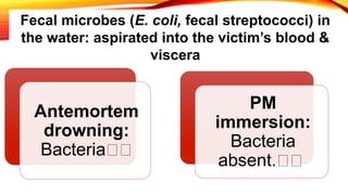 Forensic Microbiology and post mortem Microbiology | PPTX