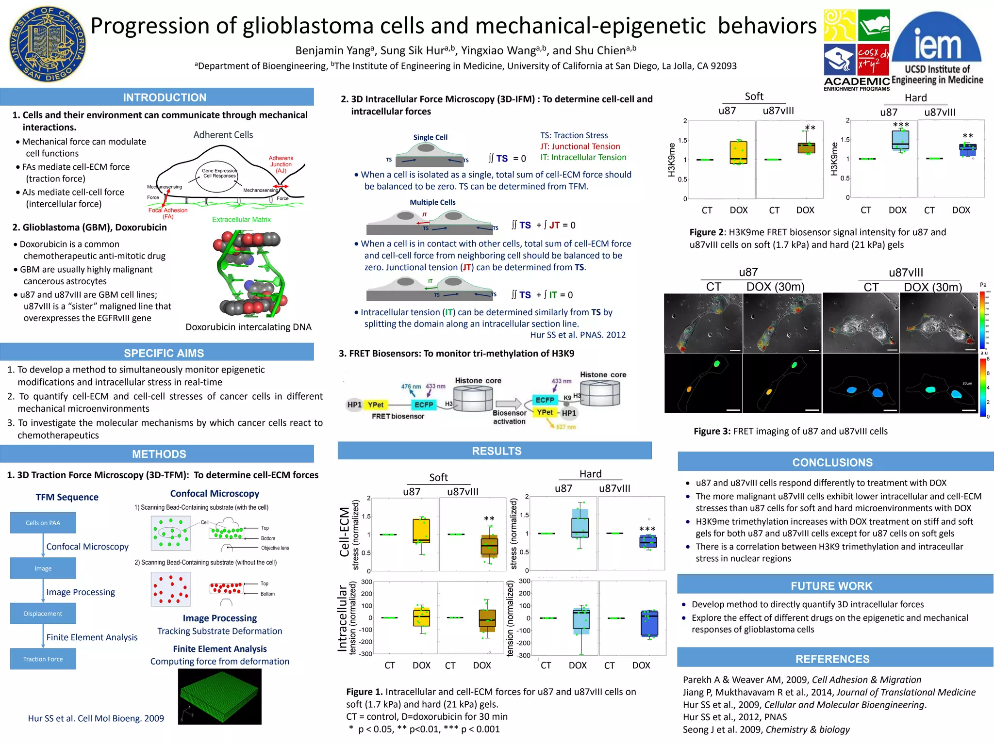 Progression of glioblastoma cells and mechanical-epigenetic behaviors | PPT