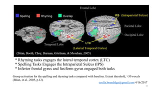 Fmri and neural imaging technology has advanced our understanding of ...
