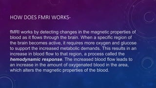 fMRI and sMRI.pptx