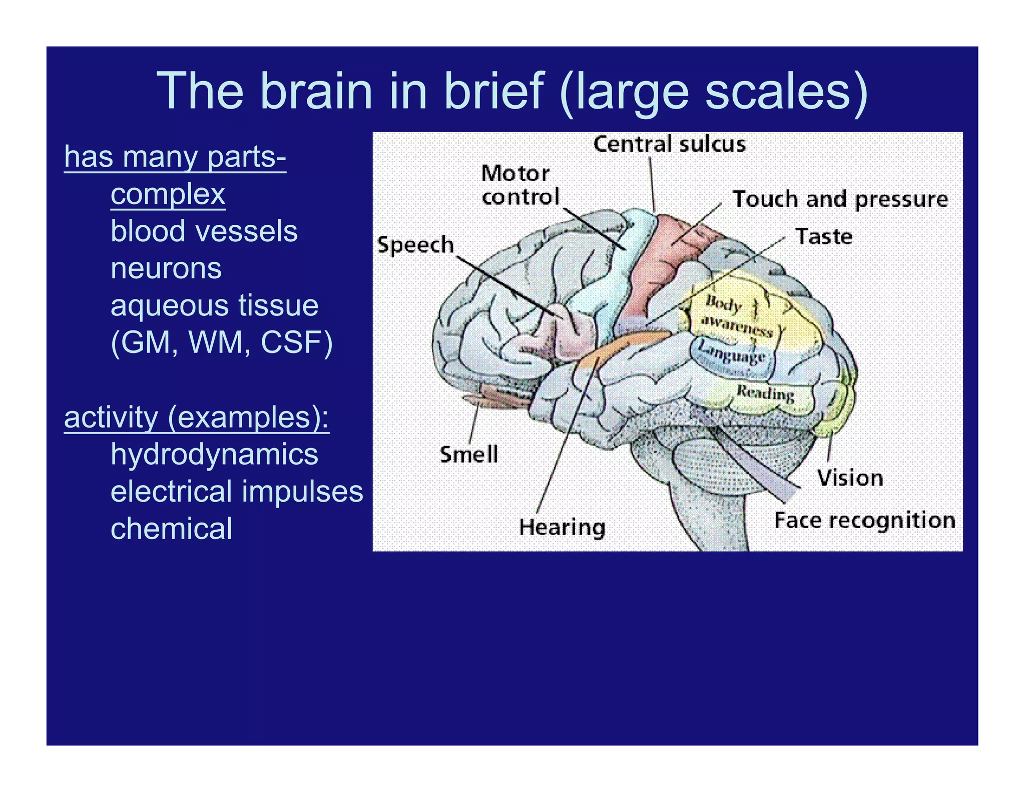Cosmo-not: a brief look at methods of analysis in functional MRI and in ...