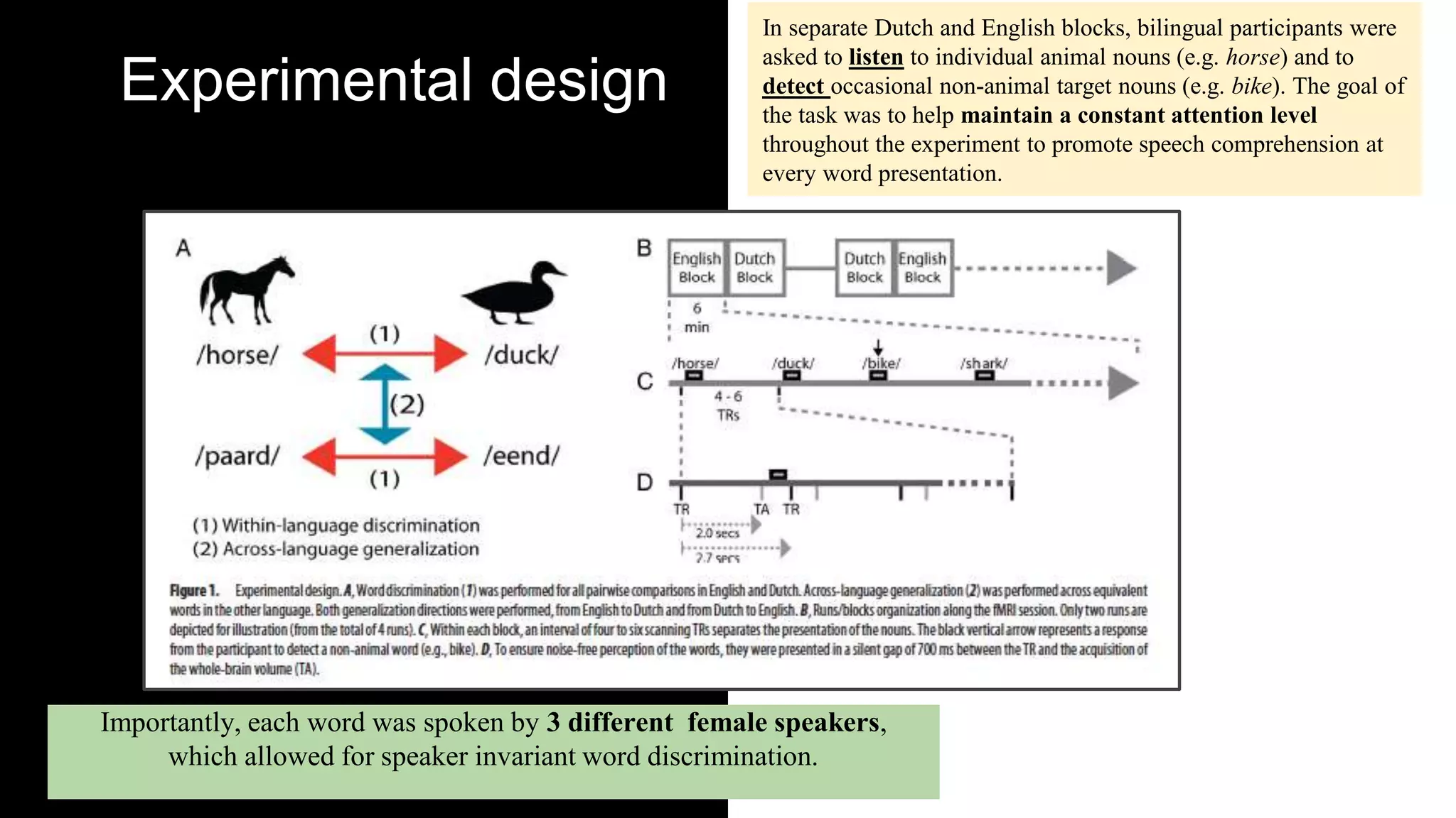 Fmri of bilingual brain atl reveals language independent ...