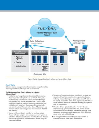 FlexNet Manager Suite Cloud | PDF