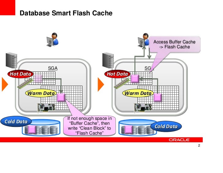 Flash Usage Models For The Oracle Database 2996