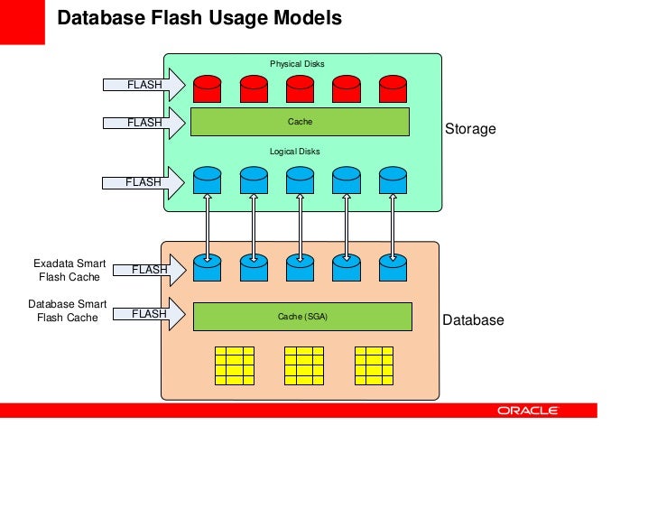 Flash Usage Models For The Oracle Database 3629
