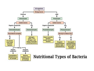 Full course PPT for General microbiology | PPTX