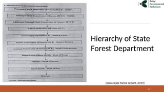 Introduction to Forest management; scope, objectivest | PPTX