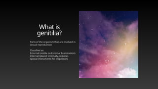 Forensic Medicine Competency FM 3.18 Female Genitalia | PPT