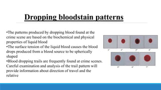 FMT crime scene reconstruction foreinsic medicine.pptx