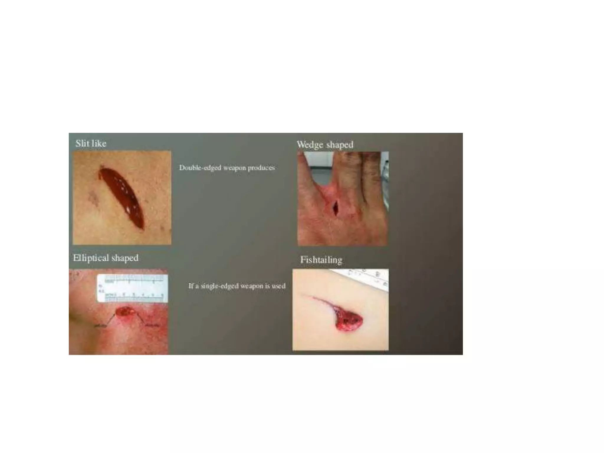 FMT IMAGE SESSION.pptx