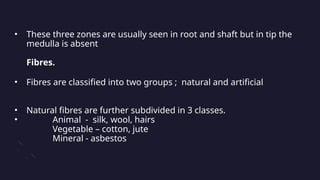 Hairs and fibres in Forensic medicine and toxicology | PPTX