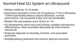 FM urogenital system embroyology, ultrasound features and management.pptx