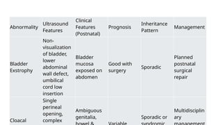 FM urogenital system embroyology, ultrasound features and management.pptx
