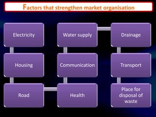 Organization Structure & Details | PPTX
