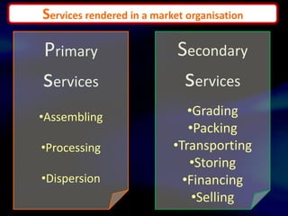 Organization Structure & Details | PPTX