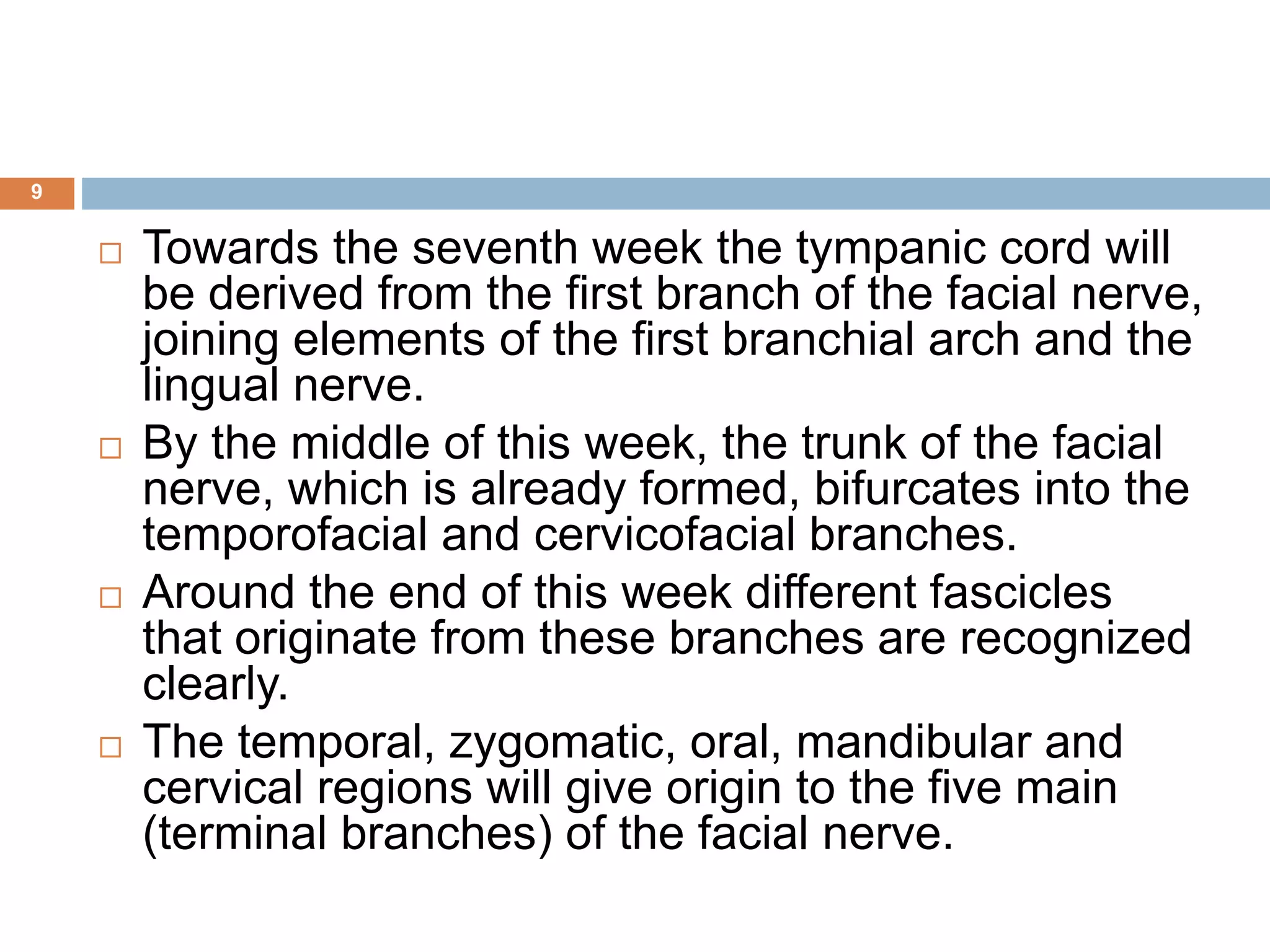 Facial nerve | PPTX