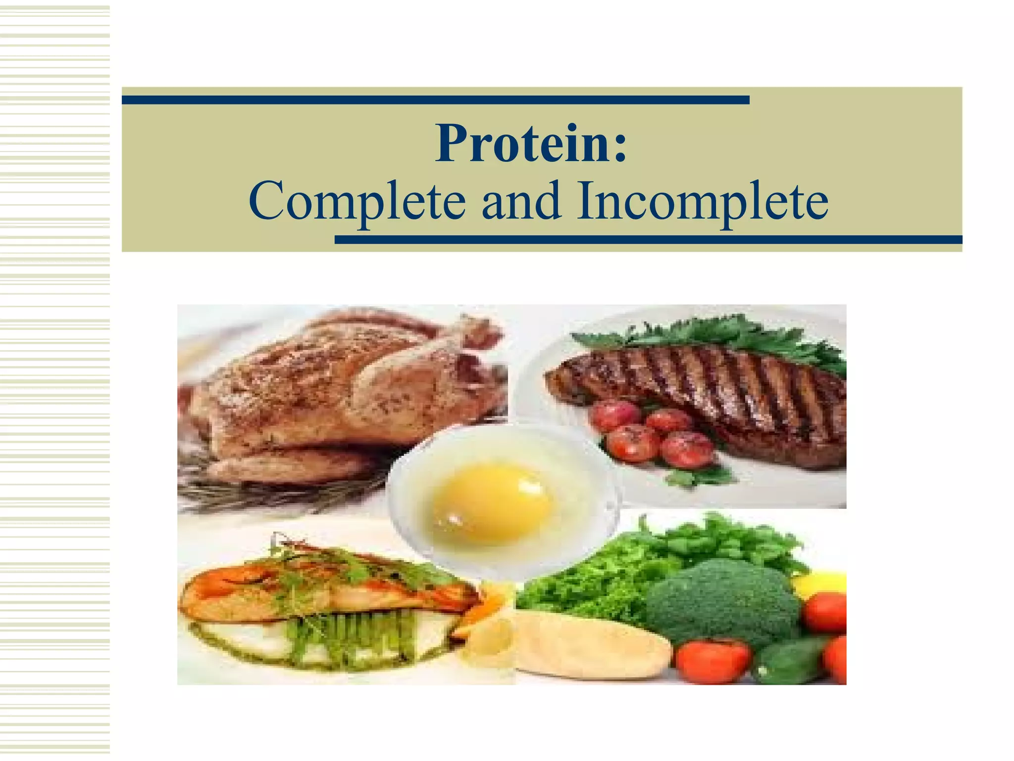 Protein | PPT