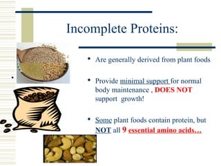 Protein | PPT