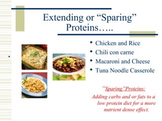 Protein | PPT