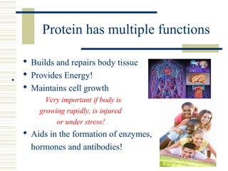 Protein | PPT
