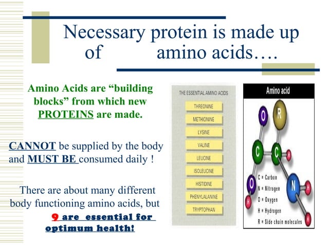 Protein | PPT