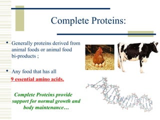 Protein | PPT