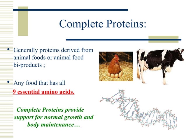 Protein | PPT