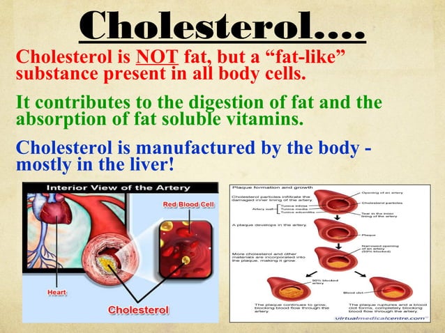 Fn1 ppt. fats, oils and cholesterol | PPT
