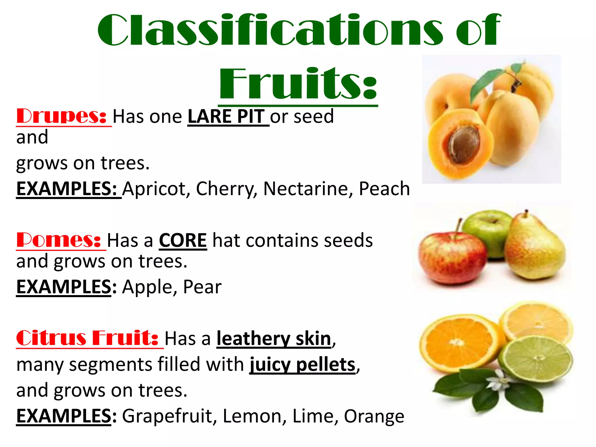 Fn1 ppt. fruits and vegetables | PPTX