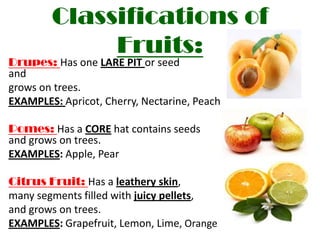 Fn1 ppt. fruits and vegetables | PPTX