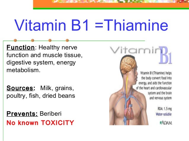 Fn1 ppt. vitamins and minerals