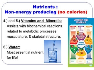 Fn1 ppt. my plate dietary guidelines | PPT