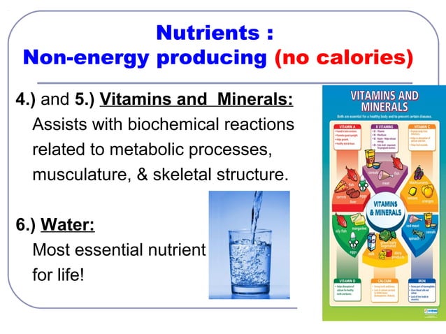 Fn1 ppt. my plate dietary guidelines | PPT