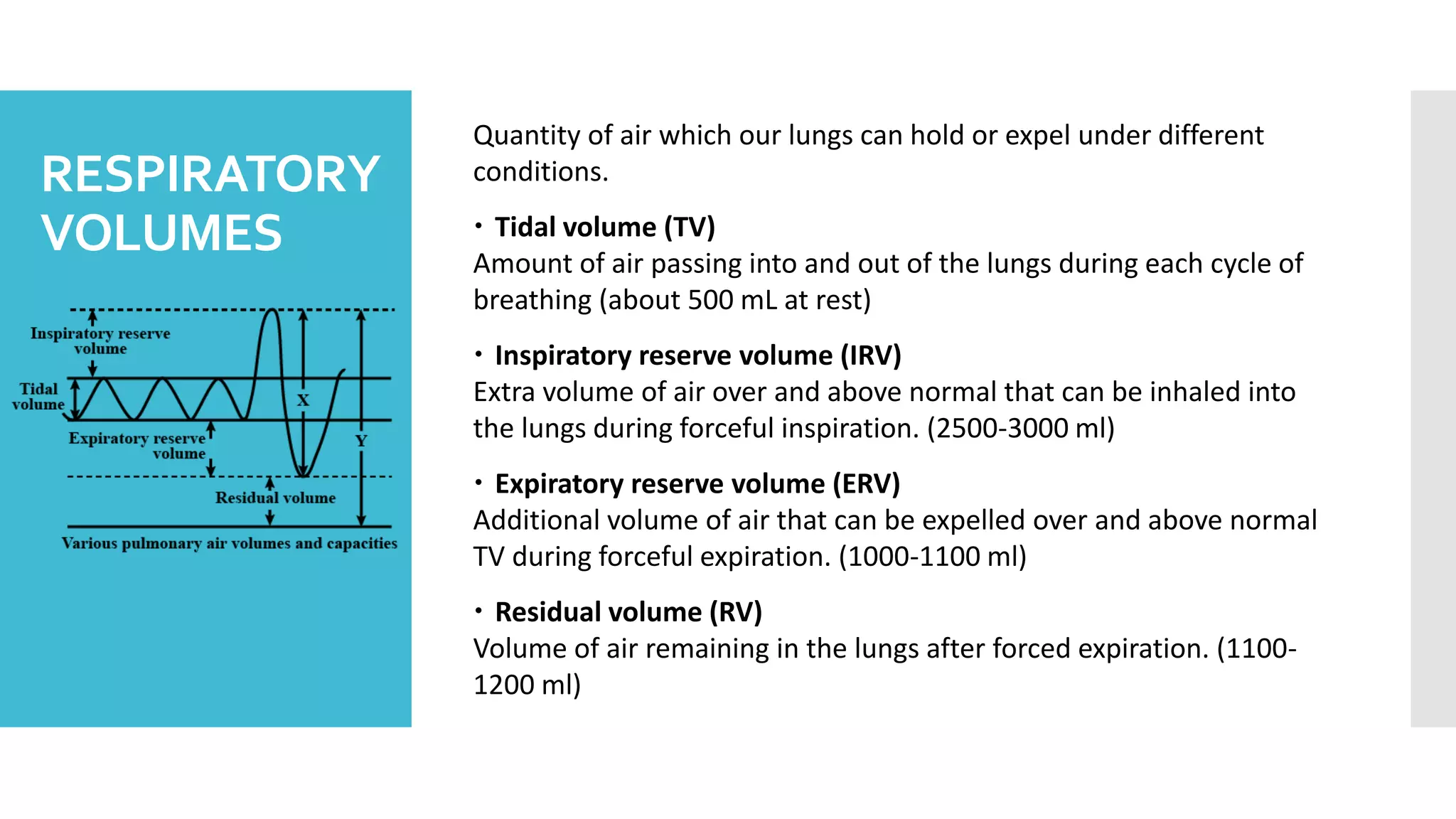 FN 513 SIMARPREET KAUR,RESPIRATION MECHANISM AND REGULATION.pptx | Lung and Respiratory Health ...