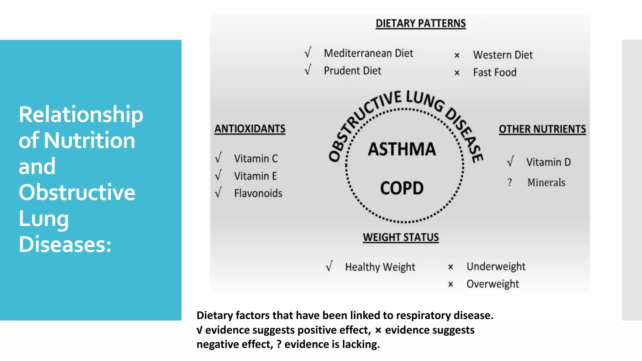 FN 513 SIMARPREET KAUR,RESPIRATION MECHANISM AND REGULATION.pptx | Lung and Respiratory Health ...