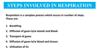 FN 513 SIMARPREET KAUR,RESPIRATION MECHANISM AND REGULATION.pptx