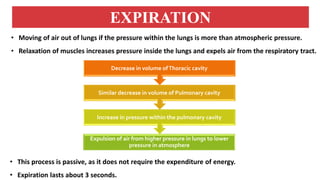 FN 513 SIMARPREET KAUR,RESPIRATION MECHANISM AND REGULATION.pptx | Lung ...