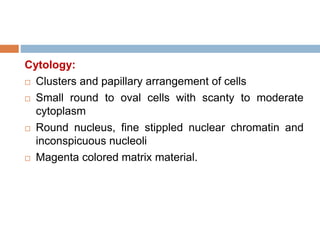 FINE NEEDLE ASPIRATION CYTOLOGY / FNAC | PPTX