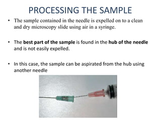 FNAC SEMINAR.pptx fine needle aspiration | PPTX