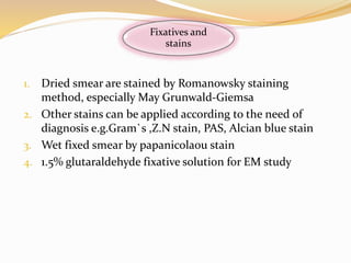fine needle aspiration cytology by rahul raj | PPTX