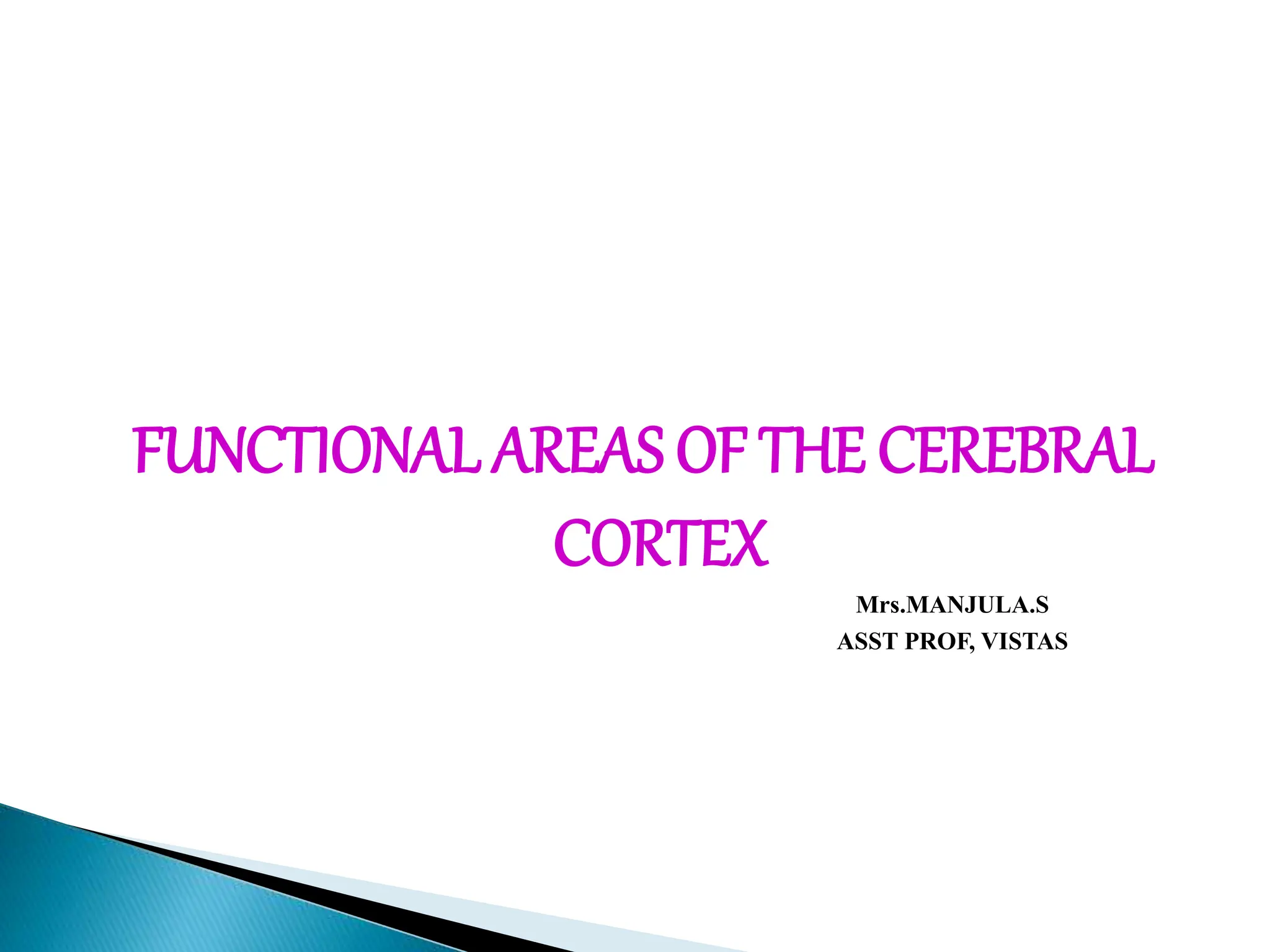 FUNCTIONAL AREAS OF THE CEREBRAL CORTEX.pptx