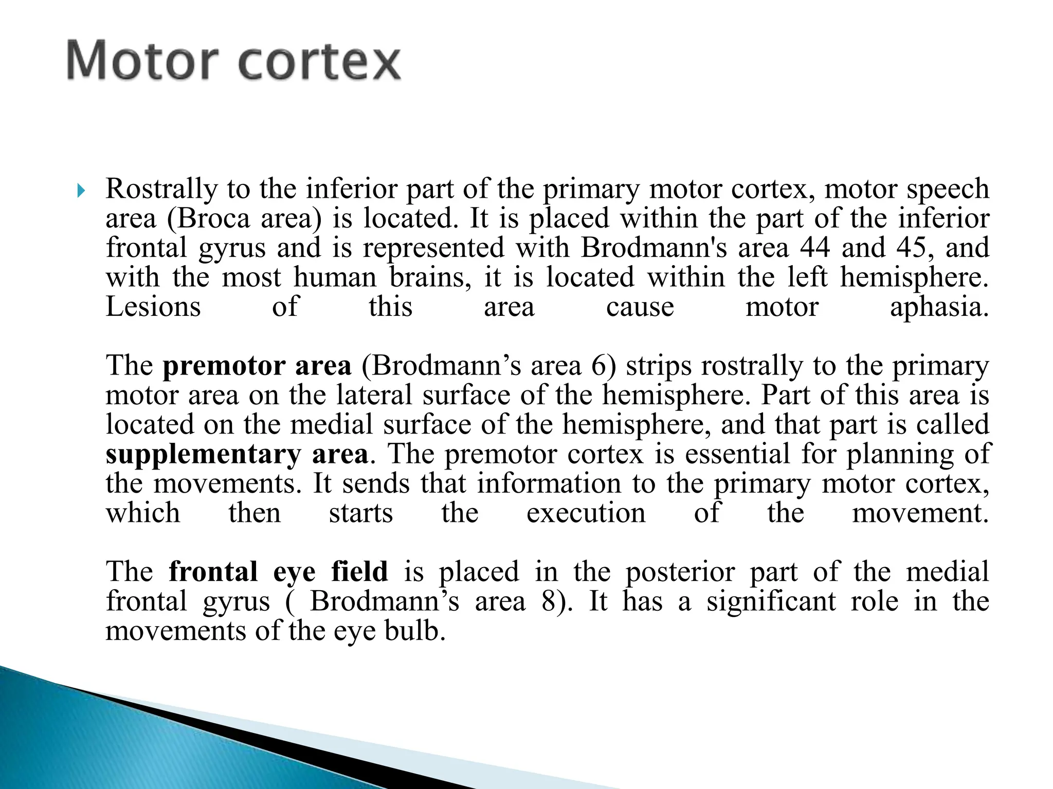 FUNCTIONAL AREAS OF THE CEREBRAL CORTEX.pptx