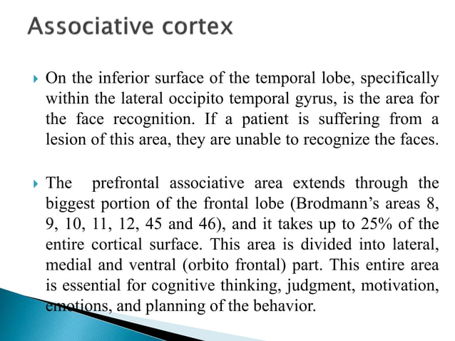 FUNCTIONAL AREAS OF THE CEREBRAL CORTEX.pptx | Brain and Nervous System ...
