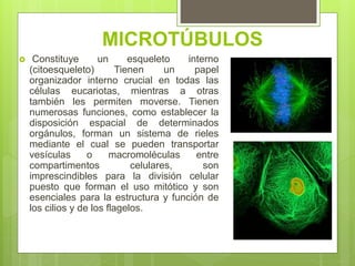 Clase 1.1 estructuras celulares | PPT