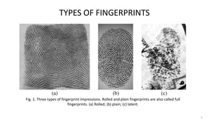 Latent Fingerprint Matching using Descriptor Based Hough Tranform | PPT