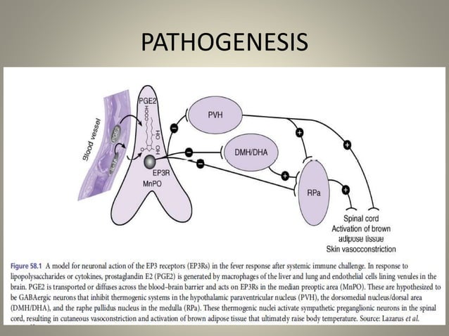 FEBRILE NON HEMOLYTIC TRANSFUSION REACTION