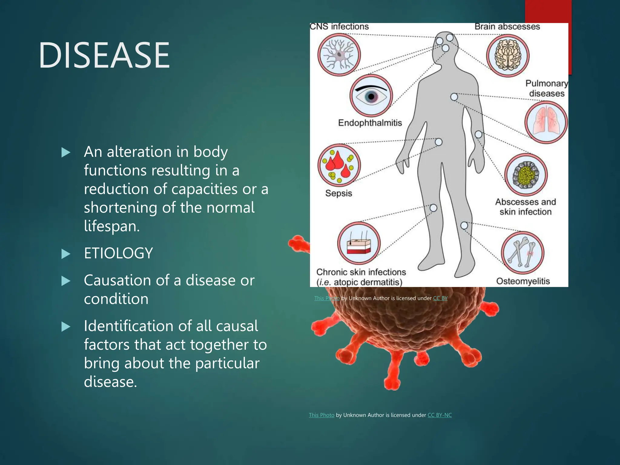FUNDAMENTAL NURSING PRACTICE NCM 103 LECTURE | PPTX