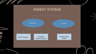 Energy Balance And formation of energy in human body | PPTX